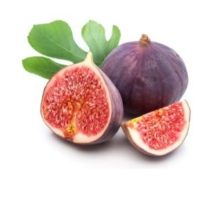 About – Fioroni Ltd